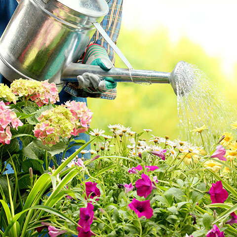 Kwizda Agro: formulation, plant protection, biocides & distribution