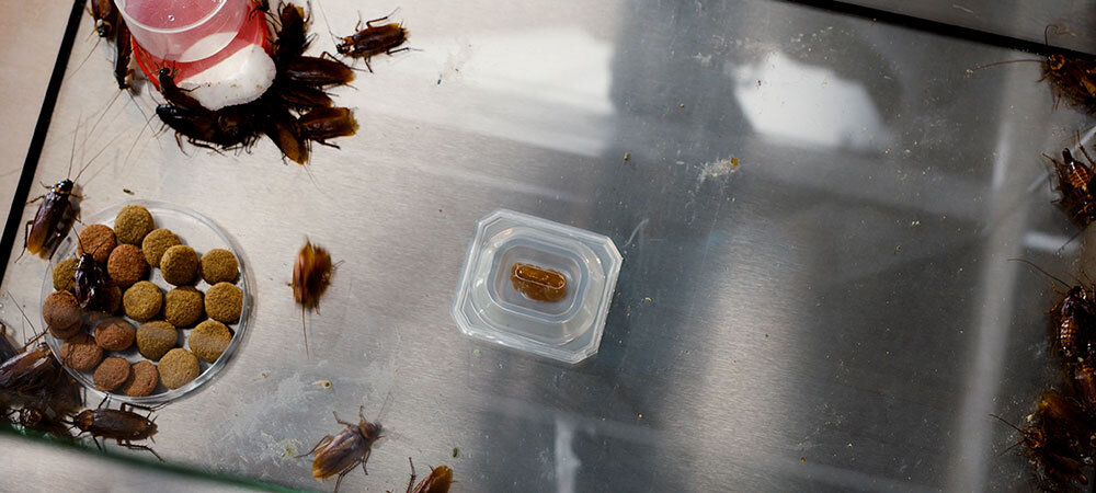 Formulation | Research & Development - Kwizda Agro