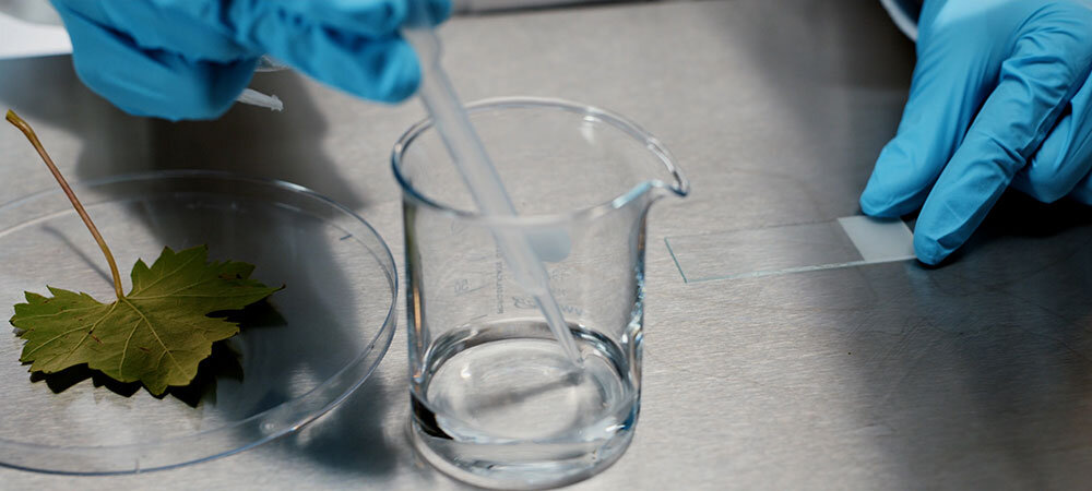 Formulation | Research & Development - Kwizda Agro