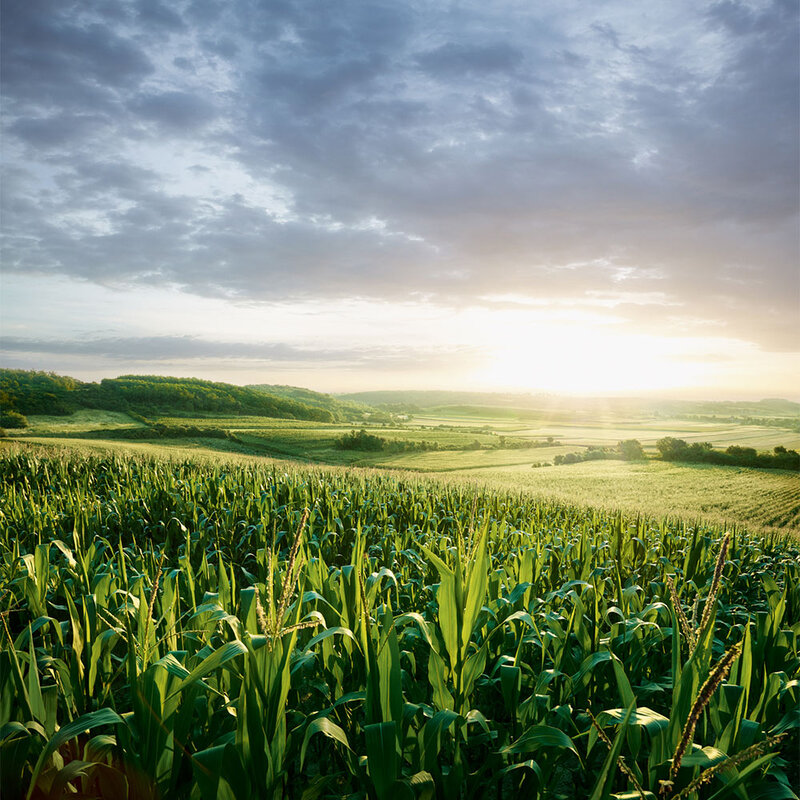 Kwizda Agro: formulation, plant protection, biocides & distribution