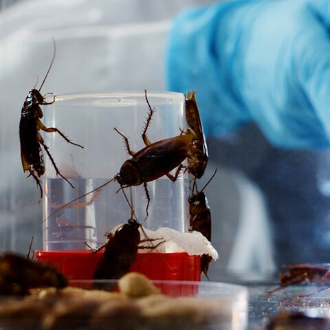 Learn more about our DOBOL® products!